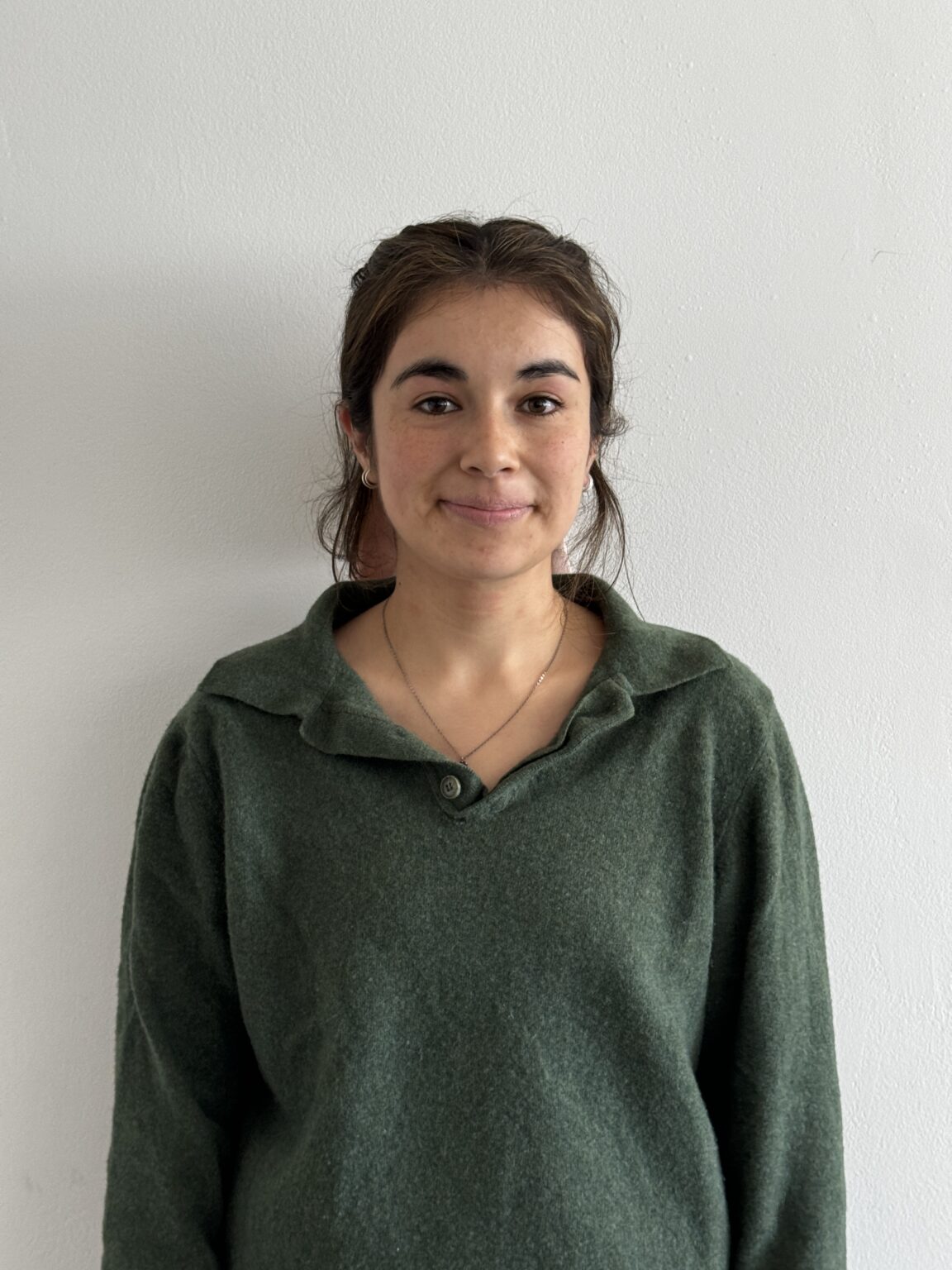 Meet the Team – IRMO